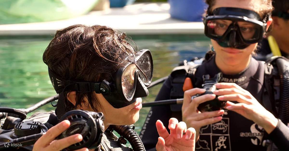 Padi 5스타 다이브 센터가 있는 파당바이에서 Padi 디스커버 스쿠버 다이빙 클룩 Klook 한국